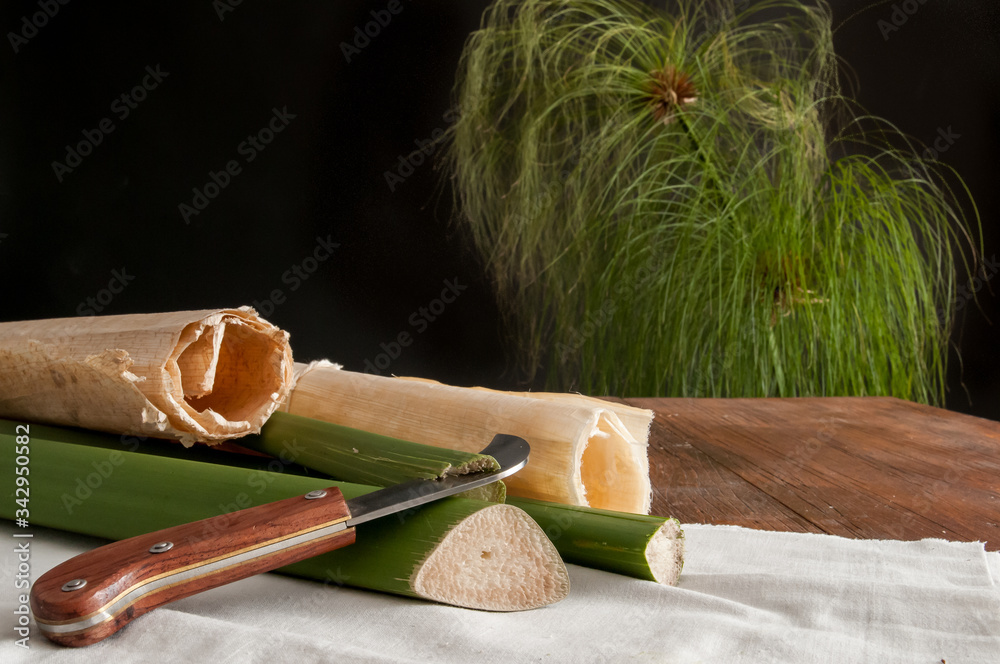 The making of papyrus paper: rolled up papyrus sheets, stems of a plant ...