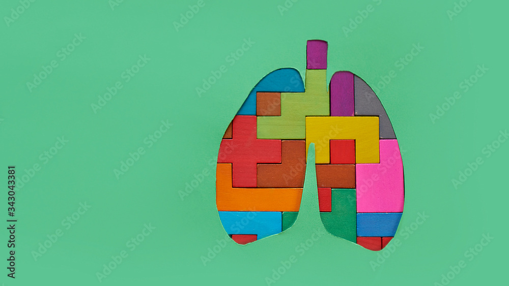 Lung health therapy medical concept . lungs lightweight silhouette of ...