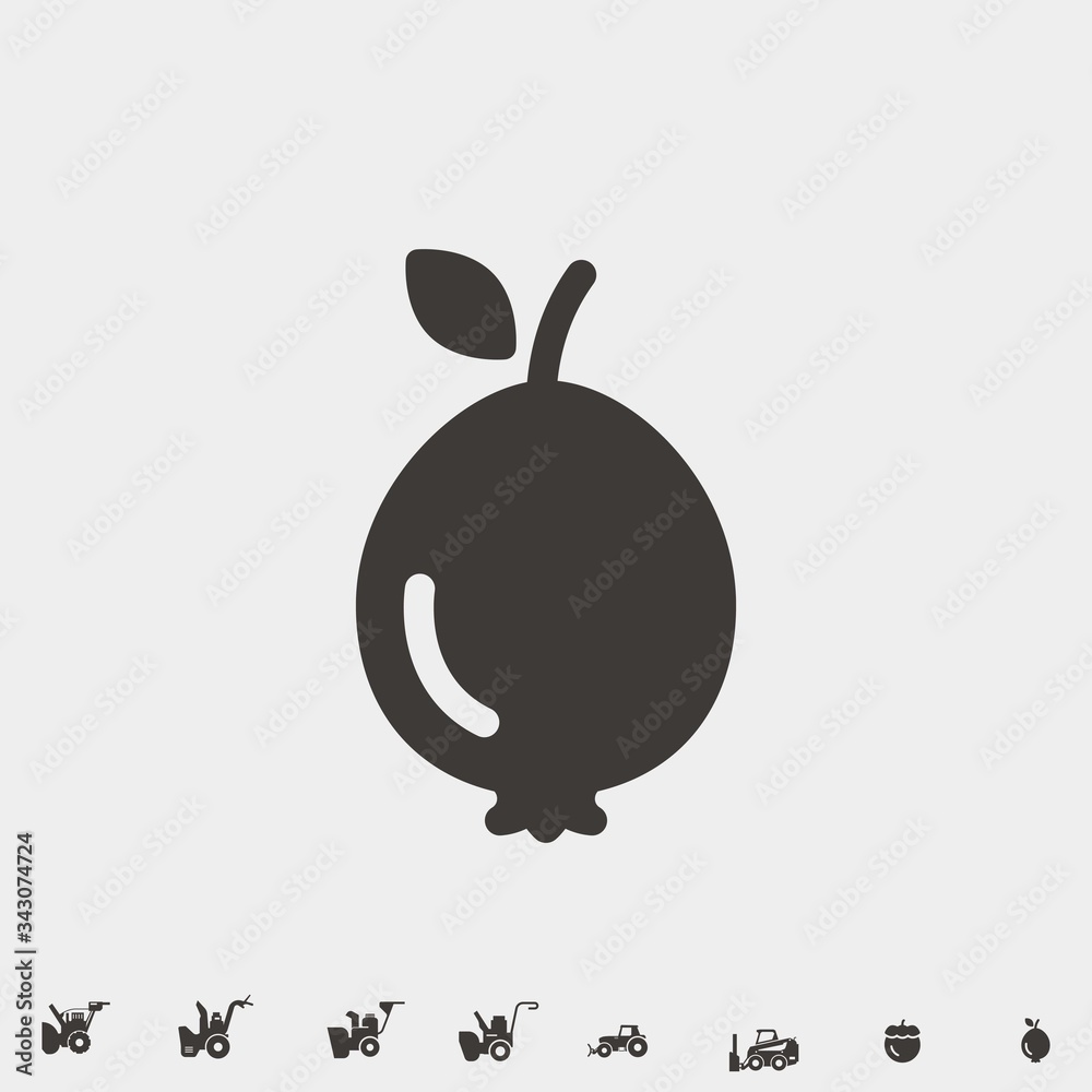 fig fruit icon vector illustration and symbol for website and graphic ...