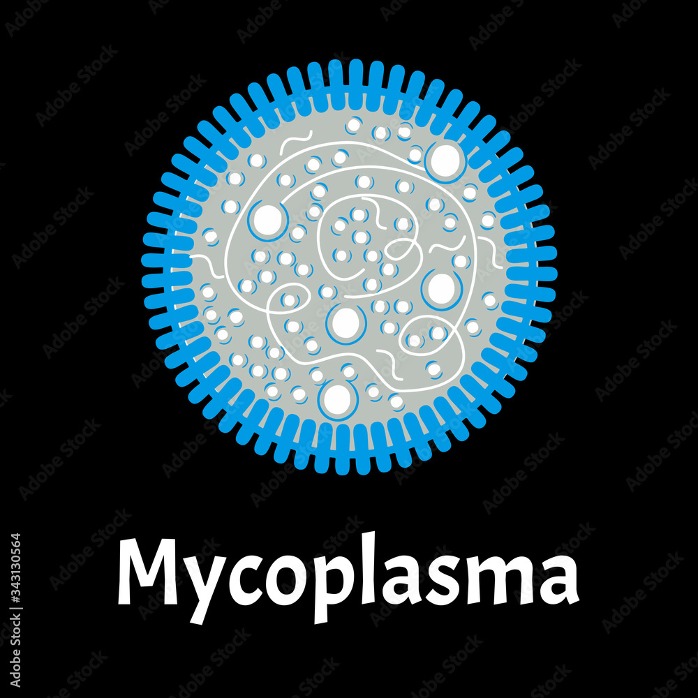 Mycoplasma. Bacterial infections Mycoplasma. Sexually transmitted ...
