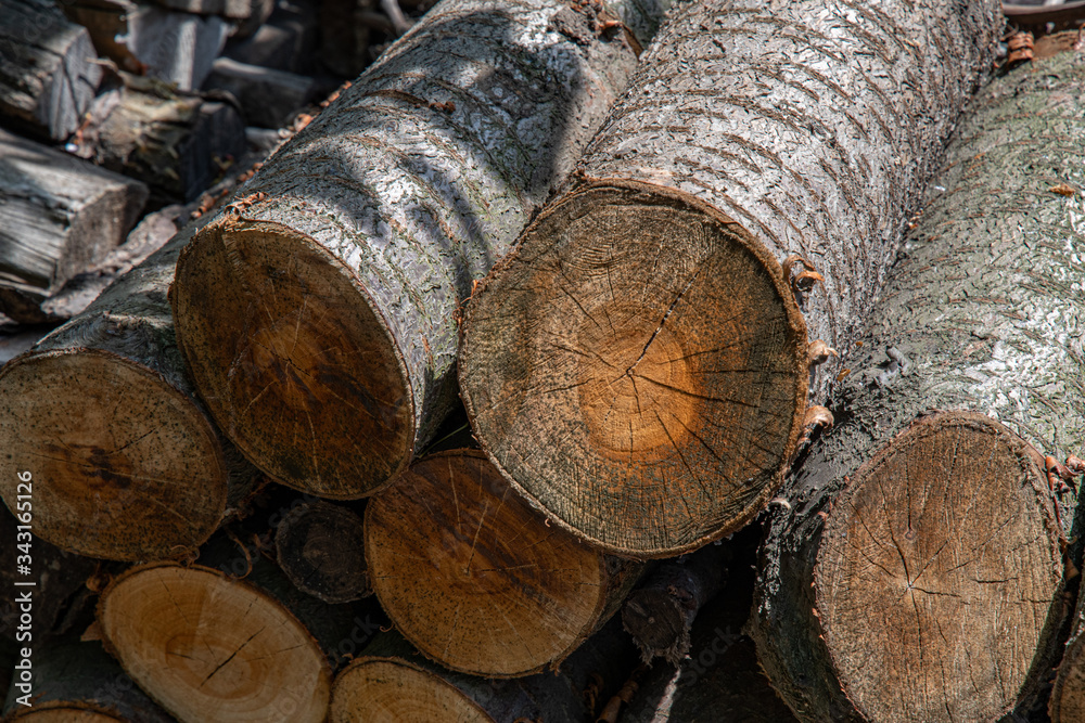 Stack of logs. Rough wooden textures. Timber sawed woods details ...