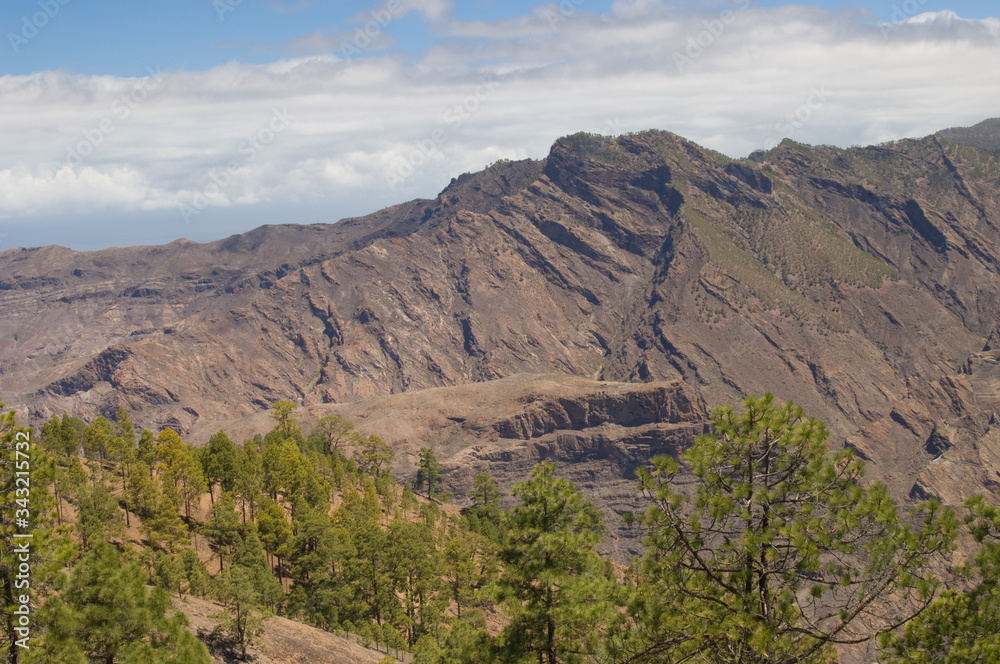 Integral Natural Reserve of Inagua, Mesa del Junquillo and Tamadaba ...