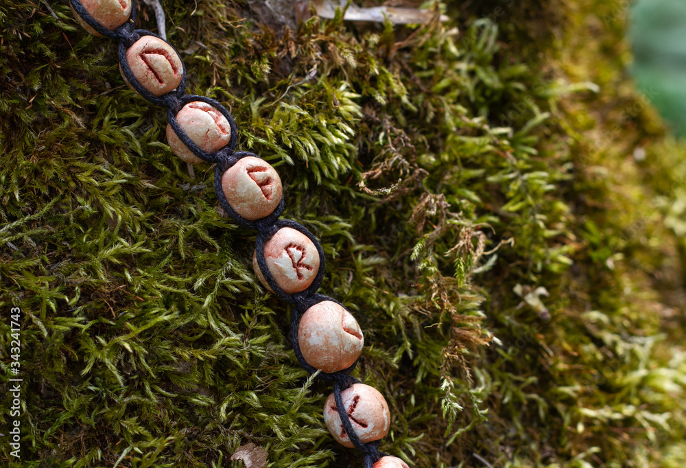 Part of a runic circle, Futhark lies on a tree covered with green moss ...