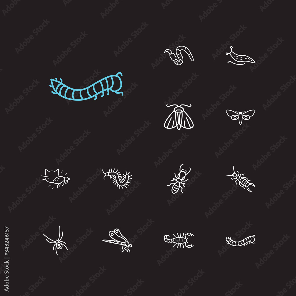 Insect icons set. Termite and insect icons with black widow spider ...