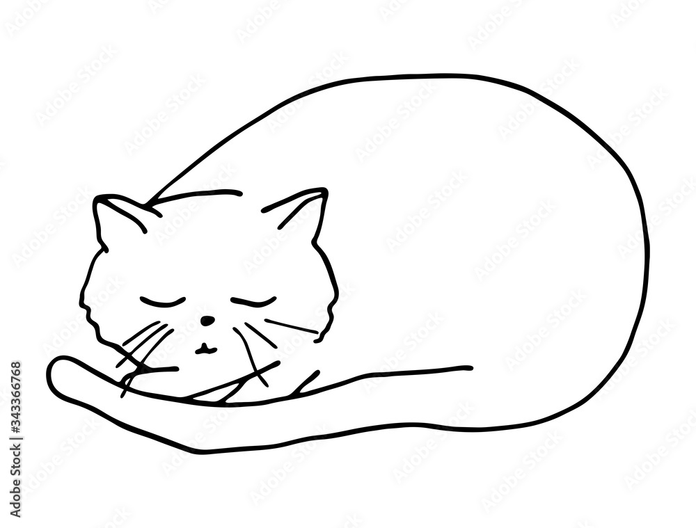 How To Draw A Kitten Sleeping