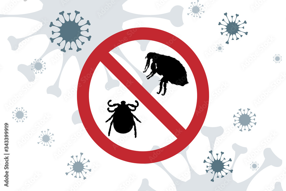 Vector silhouette no flea and tick on background with virus symbol ...