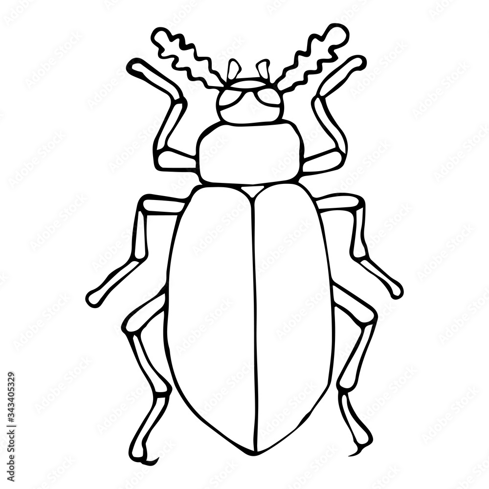 Vector illustration of an insect-beetle in the Doodle style, black ...