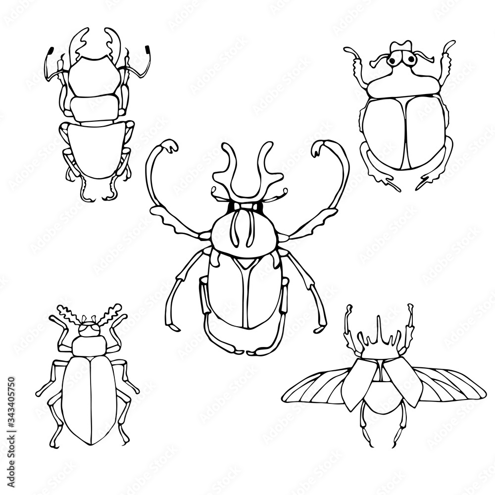 Vector illustration of a set of insect beetles in the Doodle style ...