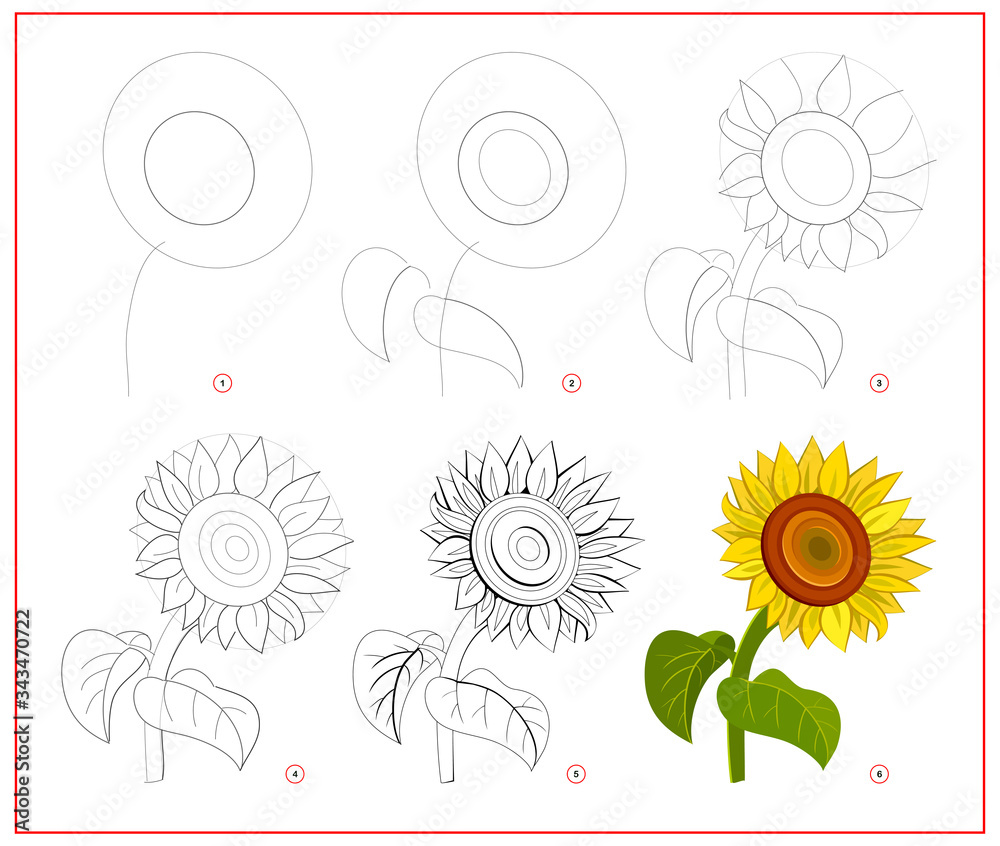 Sunflower Drawing For Kids
