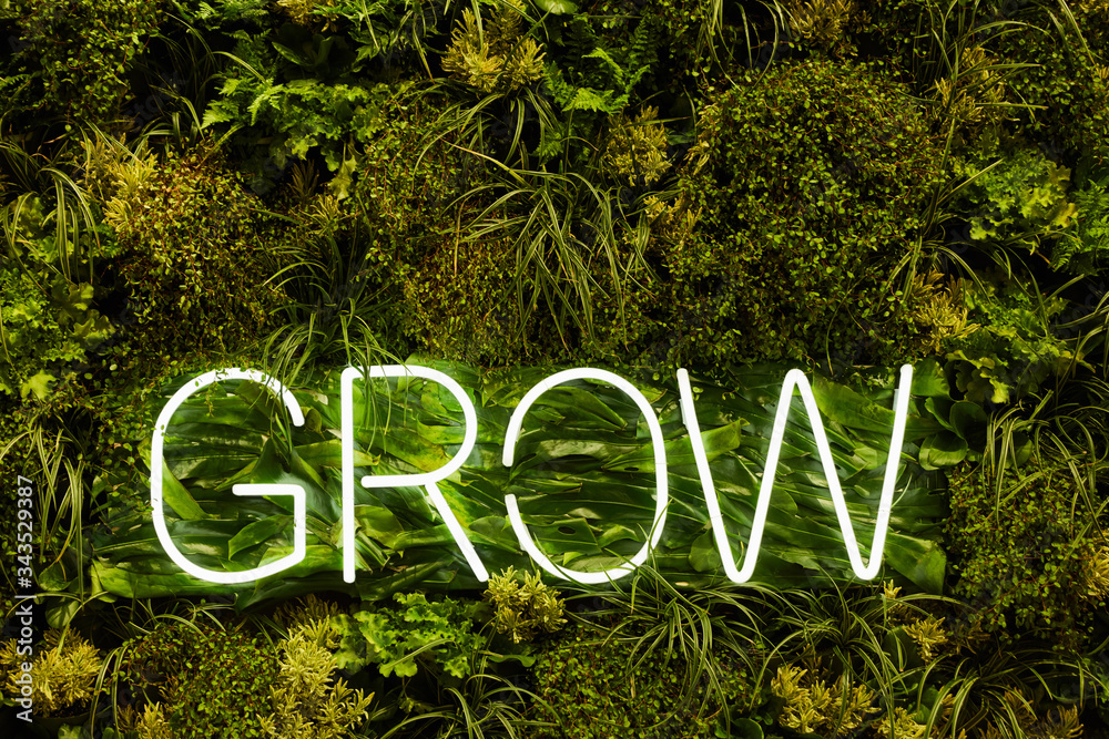 Grow text in green hedge Stock Photo | Adobe Stock