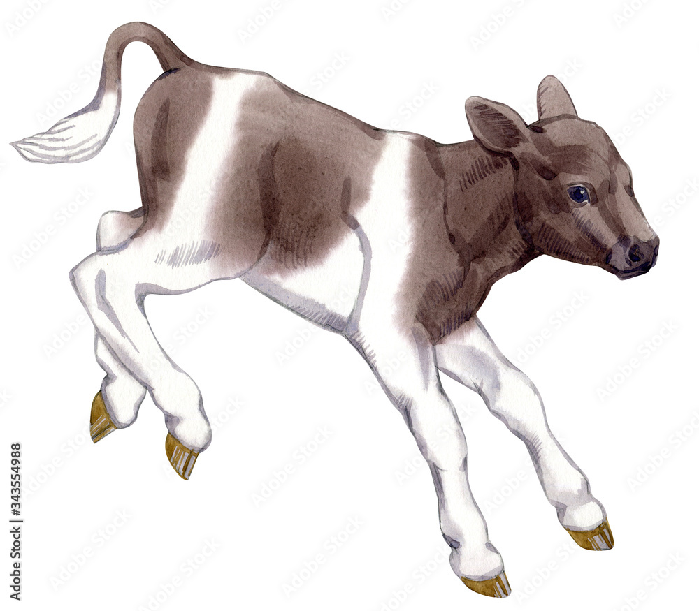 Watercolor painting of a jumping calf isolated on white background ...
