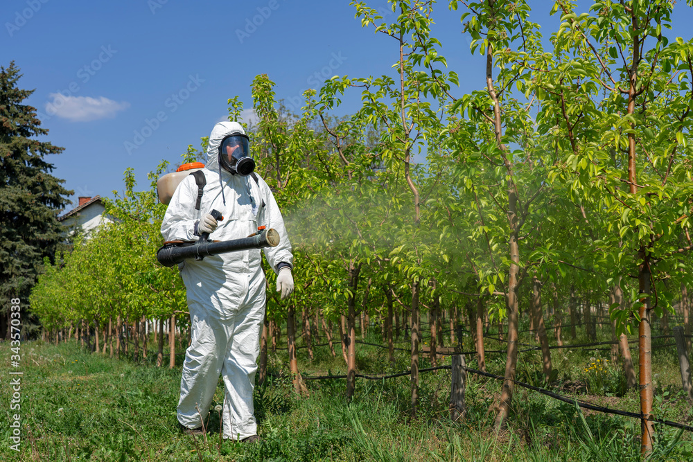 Farmer in Personal Protective Equipment Spraying Orchard With Backpack ...