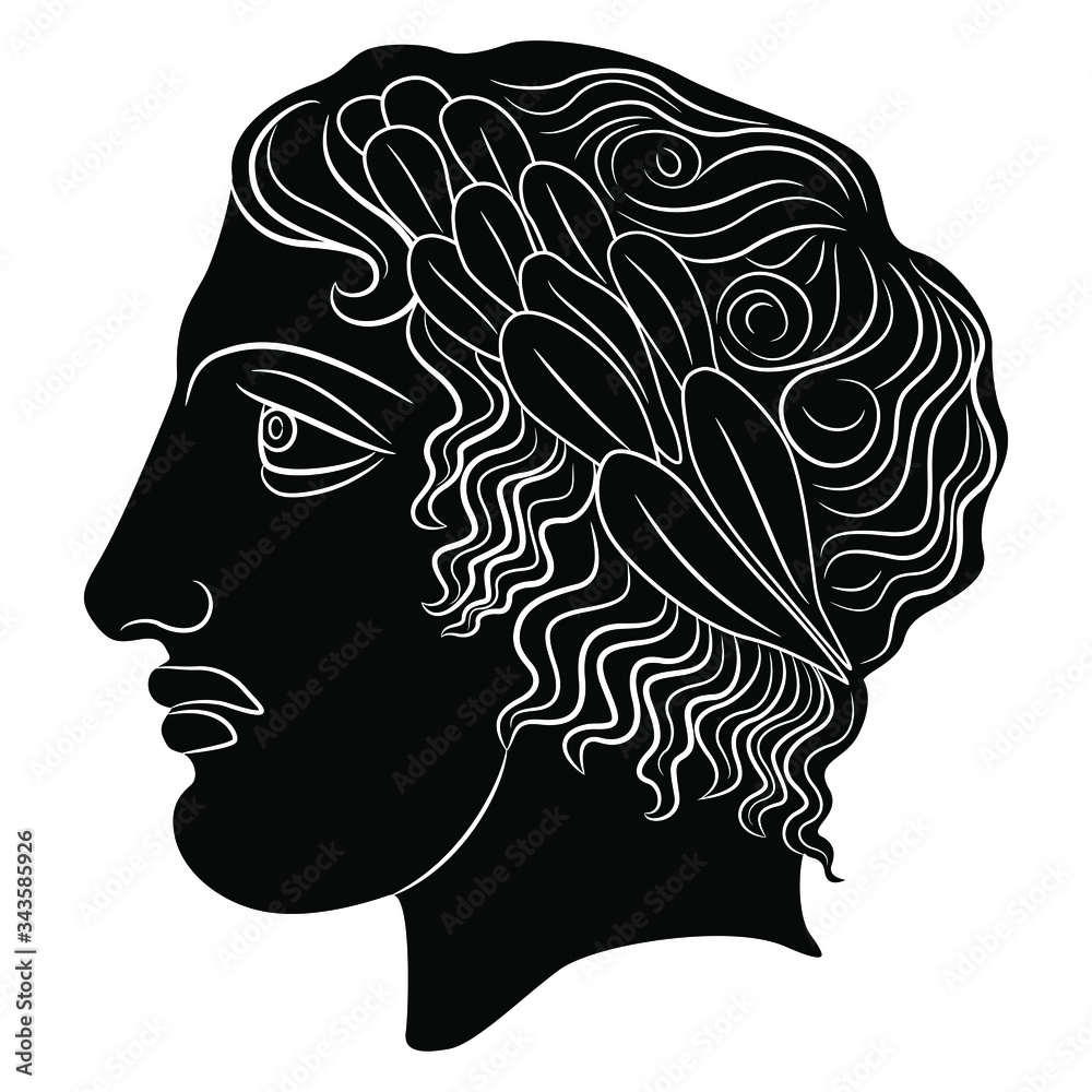 Antique head in profile. Ancient Greek male hero in laurel wreath. God ...
