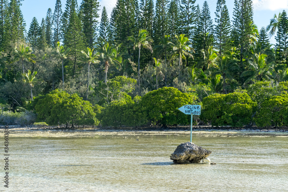 Foto de sign in tropical forest indicating natural pool of oro bay ...