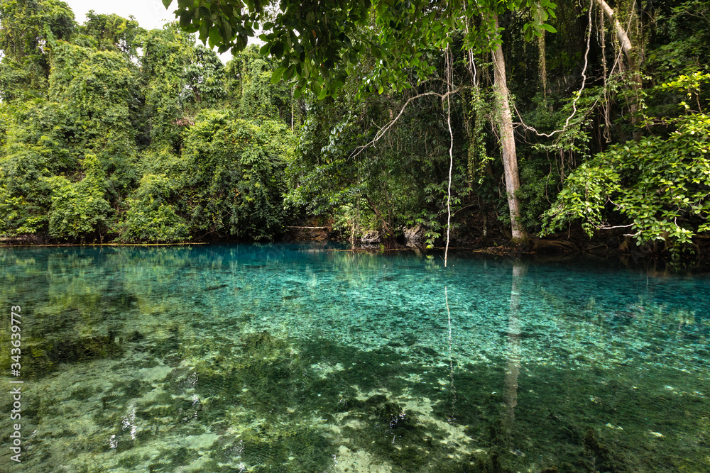 lush rainforest around freshwater blue lagoon blue hole Espirito Santo ...
