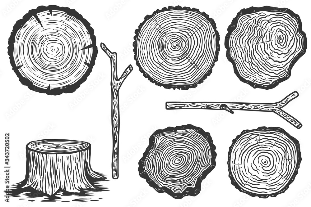Set of illustrations of wood slice in engraving style. Design element ...