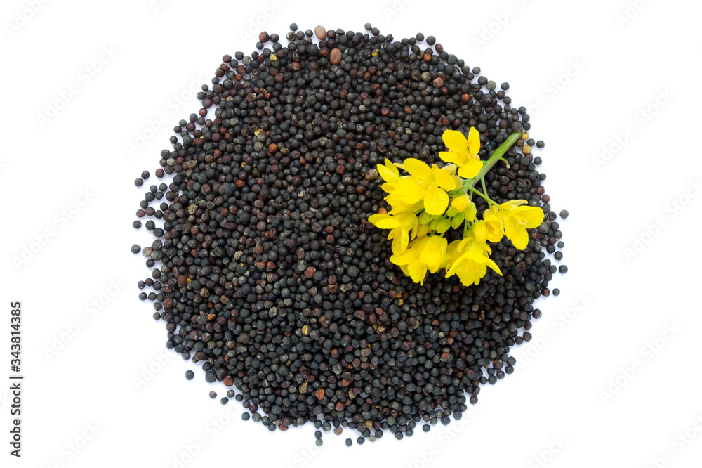 Rapeseed plant with yellow flower and seeds, top view. Mustard seeds ...