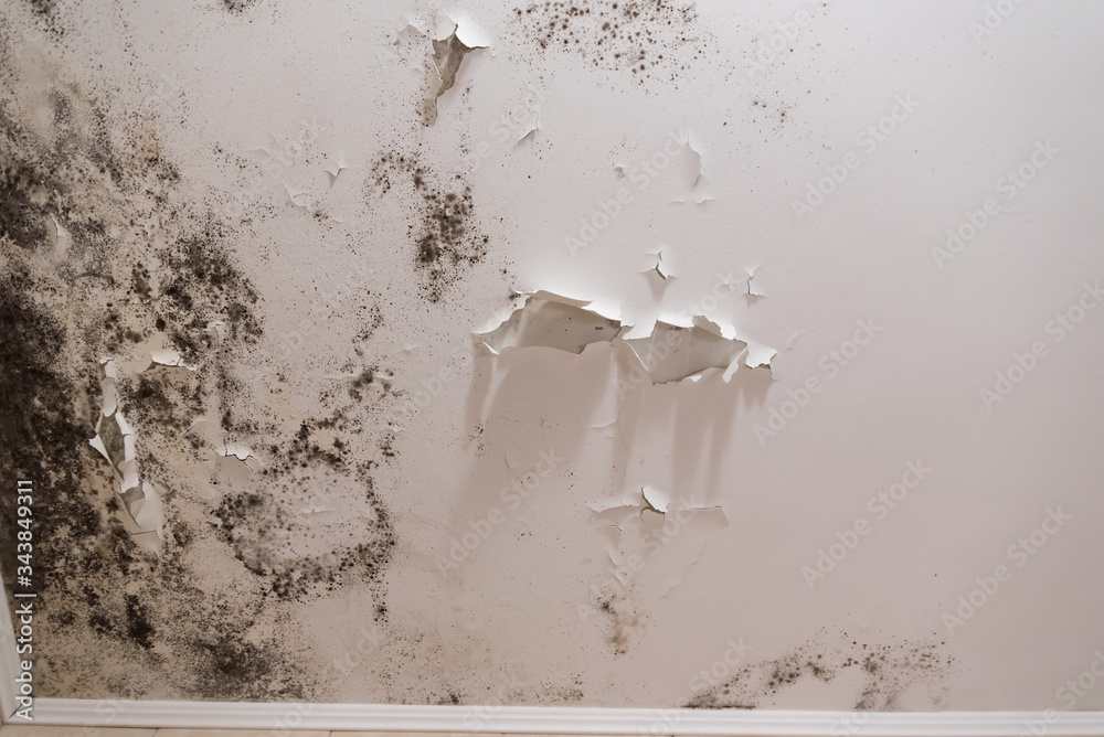 Black mold and mildew spots on the ceiling or wall due to poor air ...
