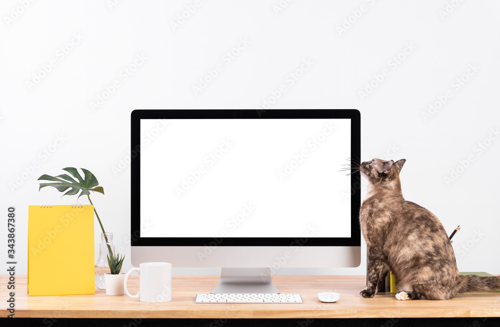 Mockup Blank screen desktop computer and decorations with cat animal on ...