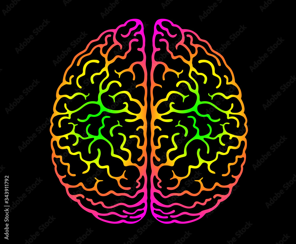 Human Brain. Bright Colors Black Background. Cerebral Hemispheres ...