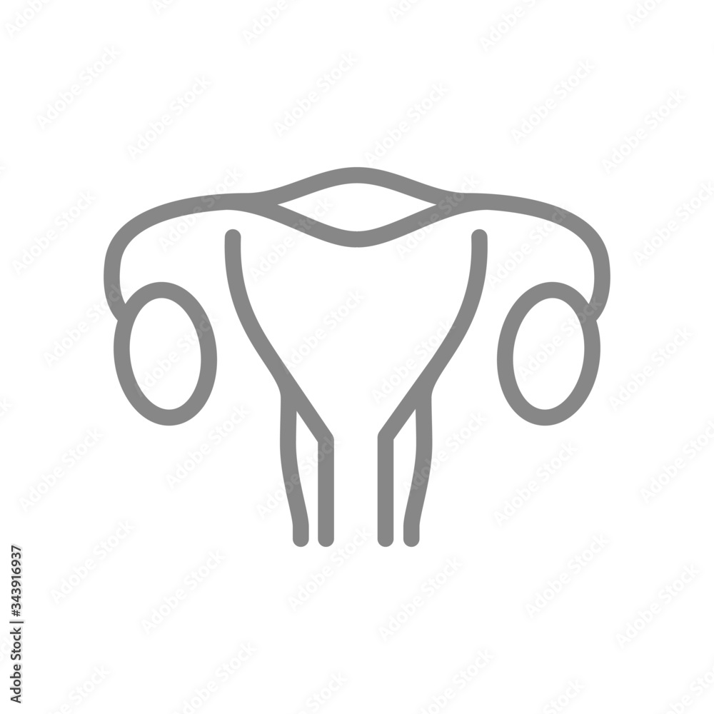 Woman uterus line icon. Healthy internal organ symbol Stock Vector ...