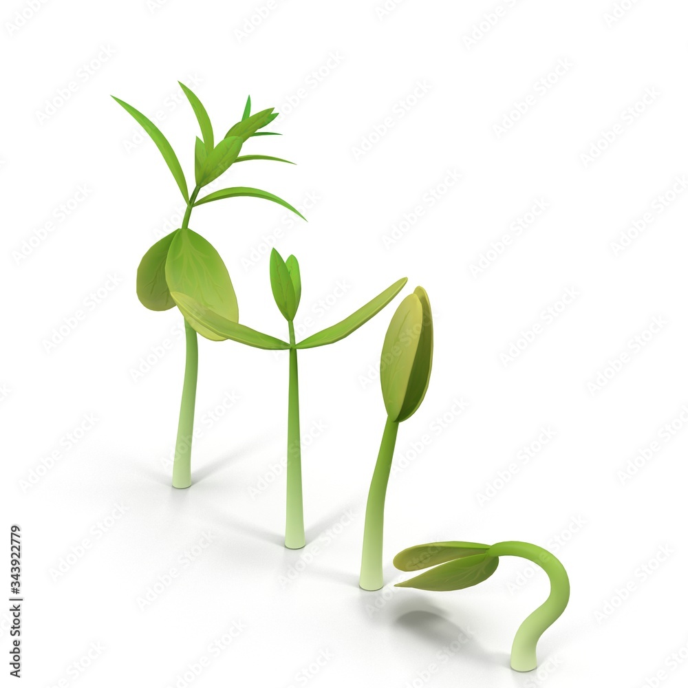 Photorealistic highly detailed 3D visualization of the sprout at ...