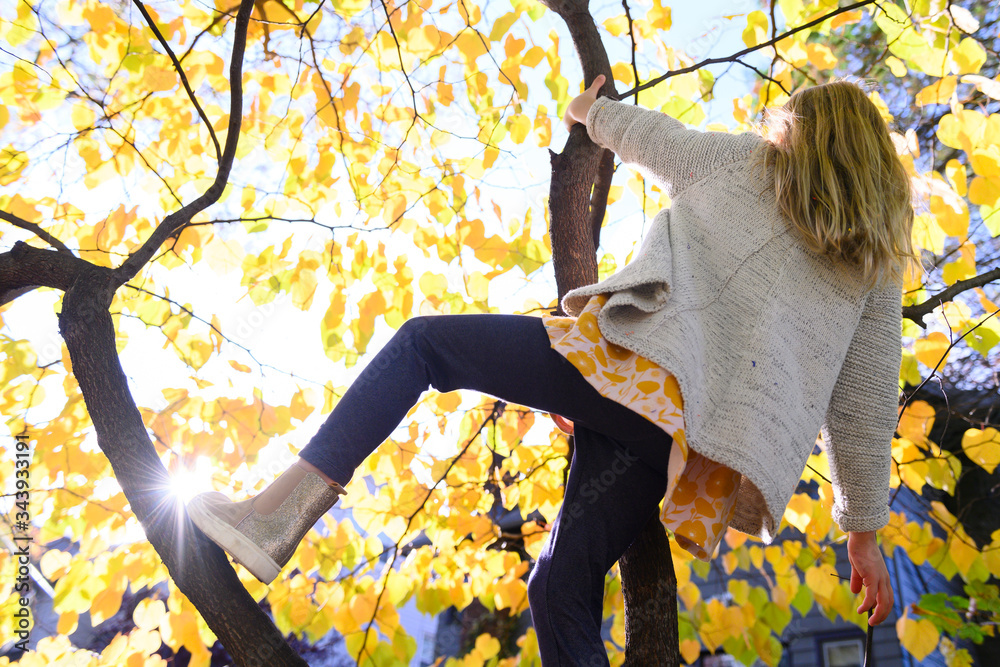 Girl climbing tree during autumn Stock Photo | Adobe Stock