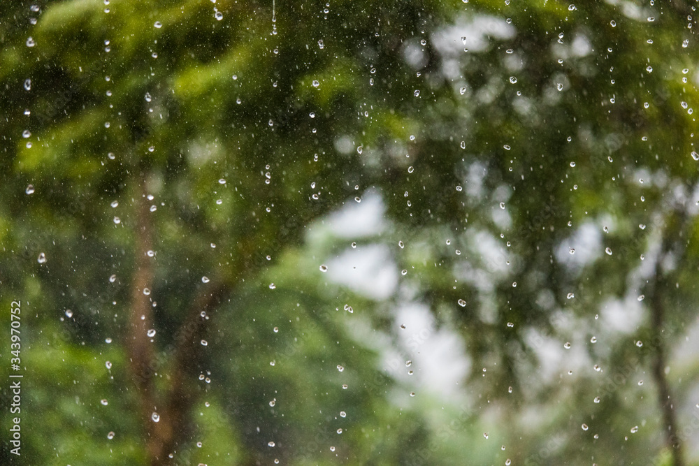 Huge drops of rain fall from the sky during a tropical storm Stock ...
