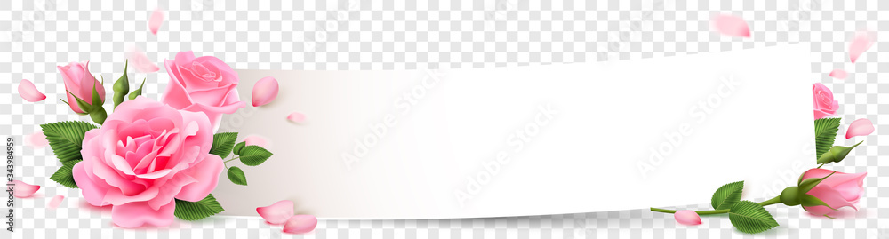 Pink rose flower paper banner transparent isolated background vector ...