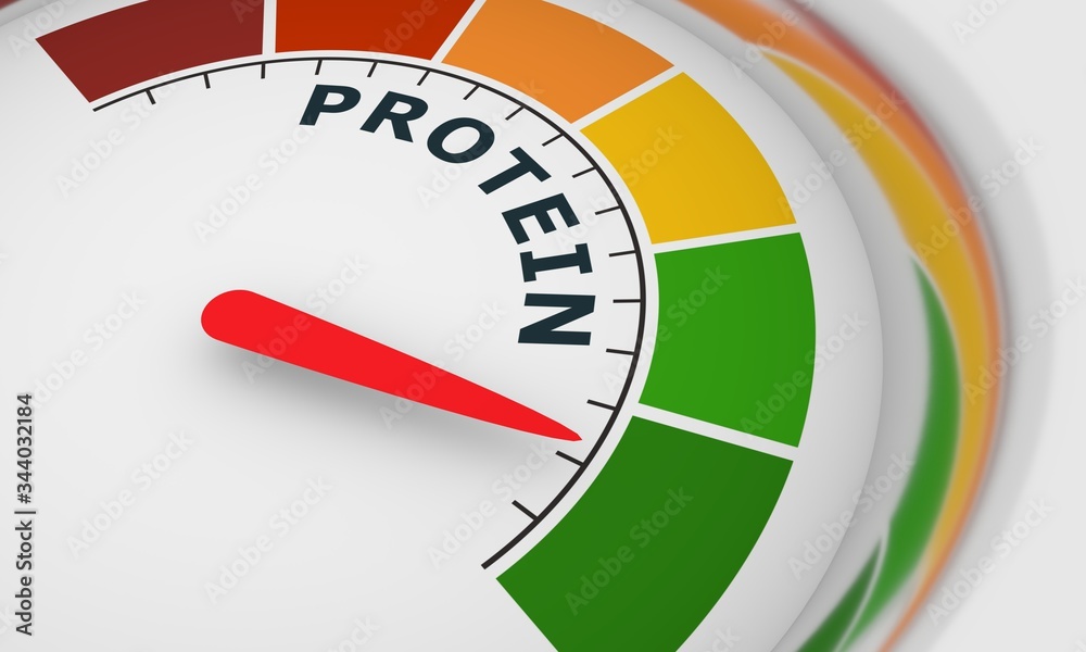 Protein level measuring device icon. Sign tachometer, speedometer ...