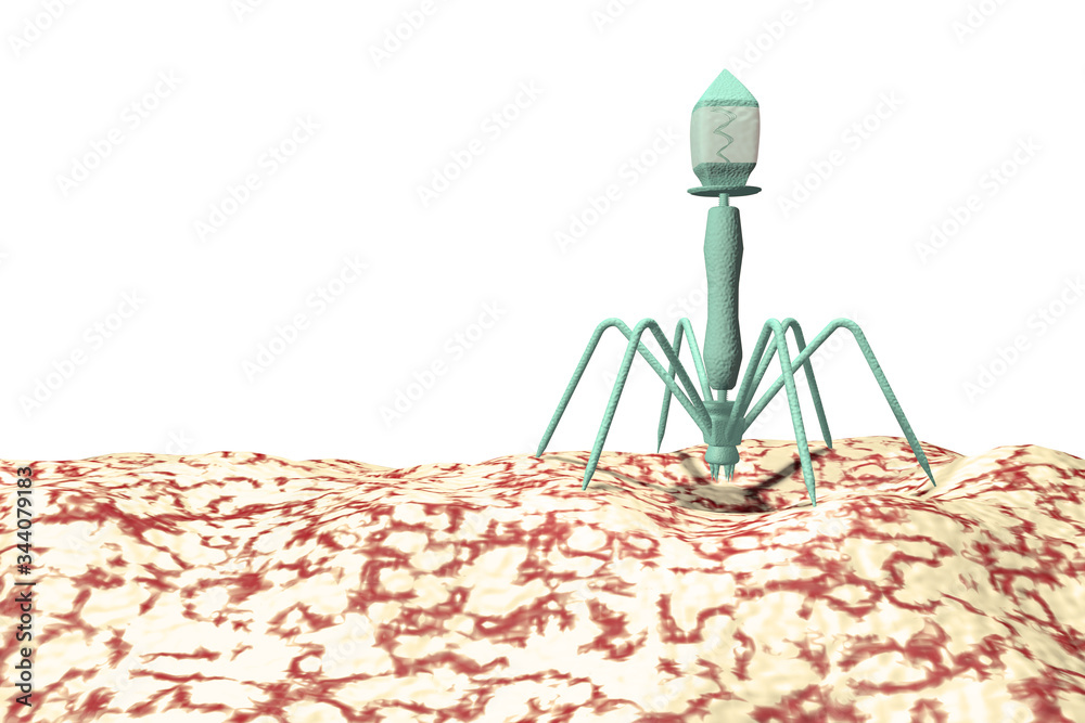 Bacteriophage isolated on a white background. 3D visualization of the ...