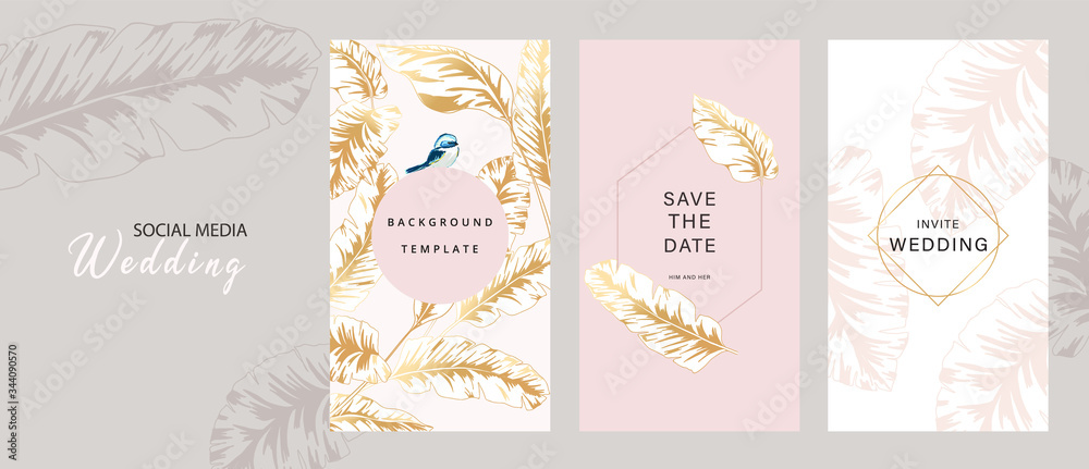 Social Media Wedding invite frame templates. Vector background. Mockup ...