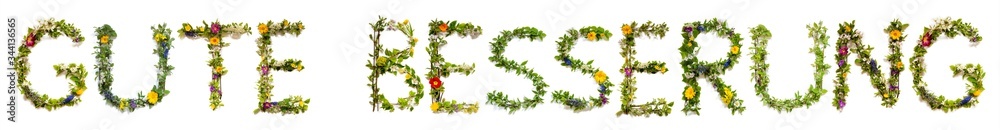 Flower, Branches And Blossom Letter Building German Word Gute Besserung ...