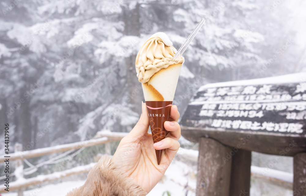 Shin-Hotaka Ropeway - One of Japan's Most Unique Ropeway. Portrait ...