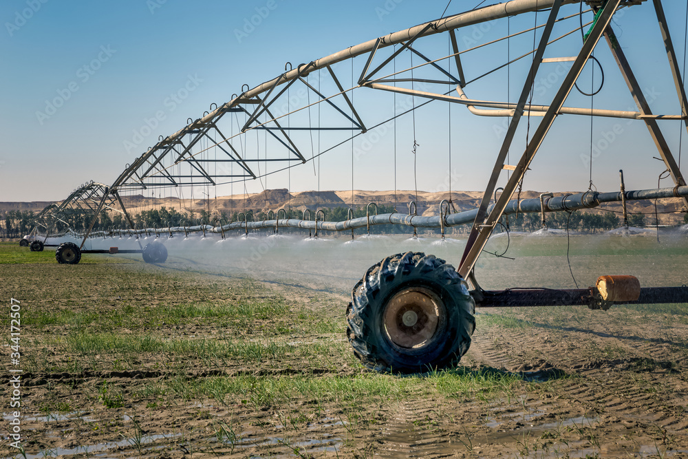 Irrigation Desert farming. Irrigation System for farming in Pivots ...