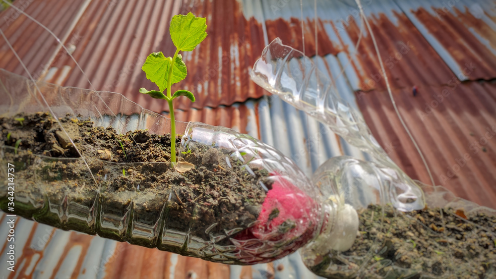 reduce reuse recycle concept - background of green vegetable tree ...