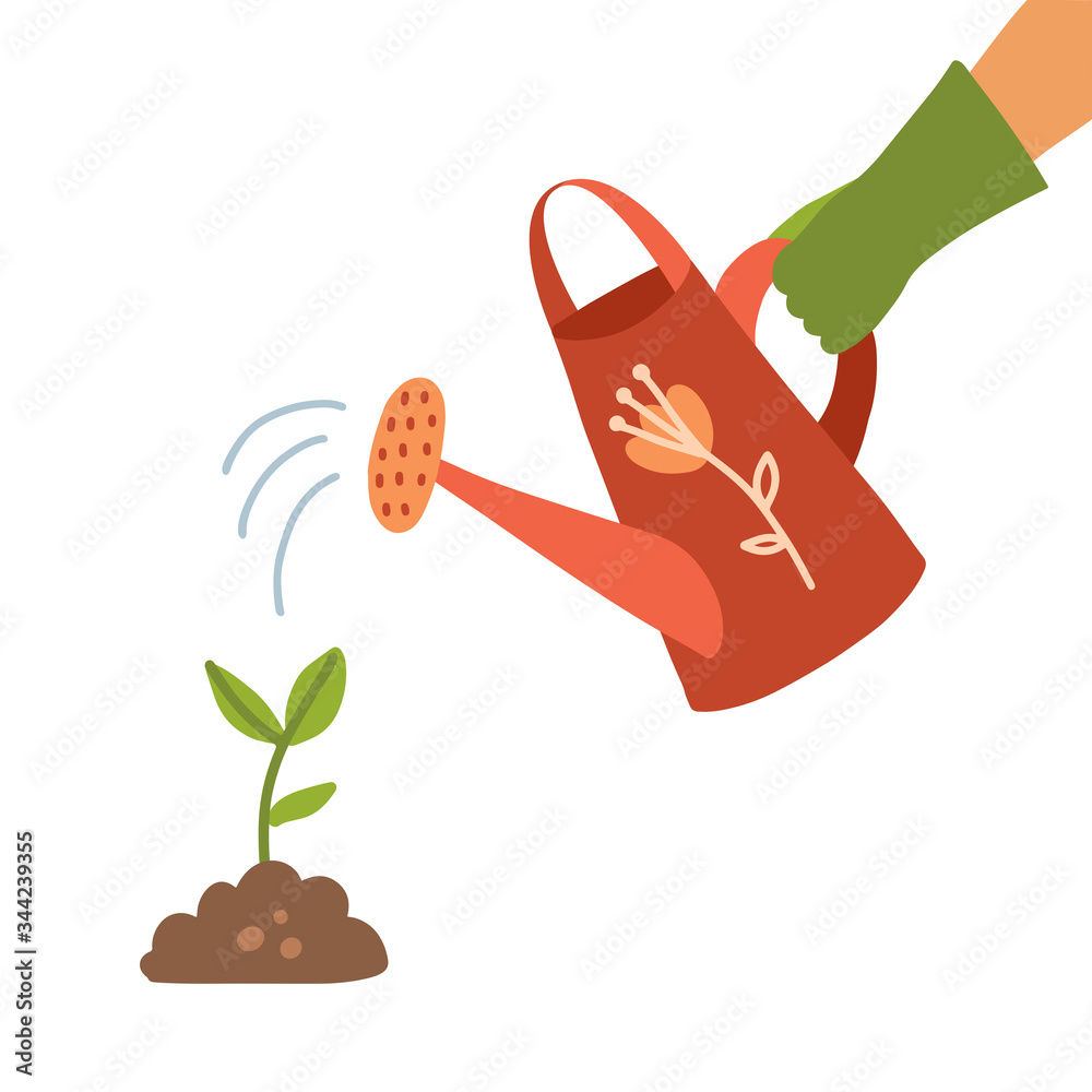 Watering can holding in hand. Man watering sproutwith a watering can ...