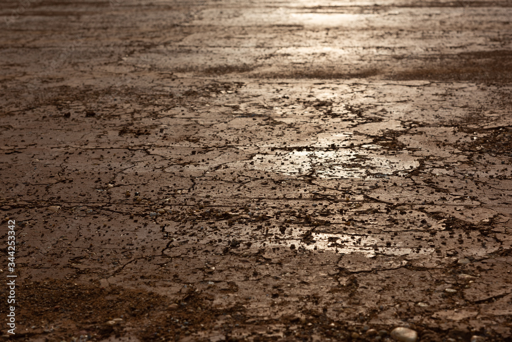 Dry cracked earth ground sunlight reflection background texture Stock ...