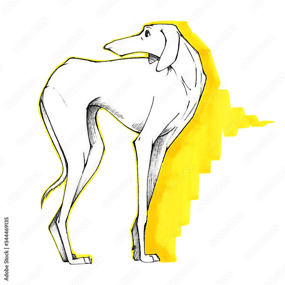 Dog with long legs. Marker and linera art. Hand drawn sketch Stock ...