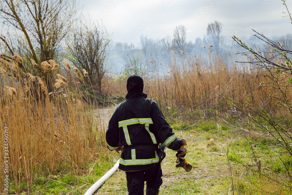 Fireman or firefighter backburning and extinguishing a wildfire grass ...