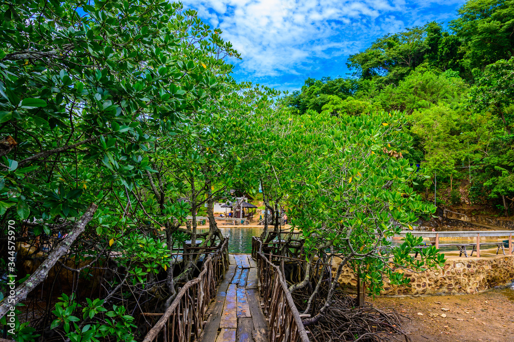 Maquinit Hot Spring at Busuanga island near Coron town, tropical ...
