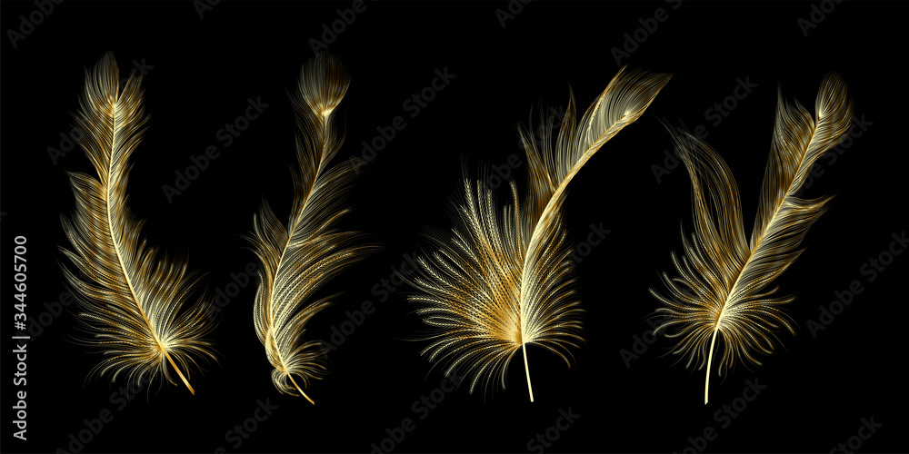 Set of gold feather. Vector illustration. Stock Vector | Adobe Stock