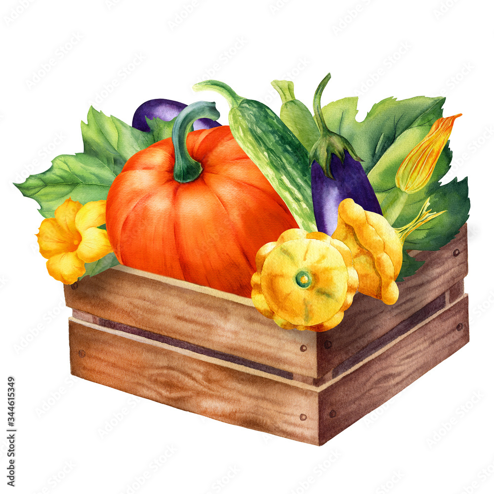 Watercolor illustration vegetables in a wooden box on an isolated white ...