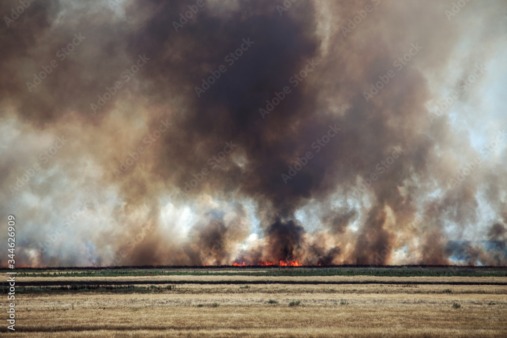 Strong prairie fire with large clouds of choking smoke erupted in ...