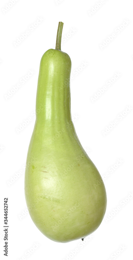 opo squash Stock Photo | Adobe Stock