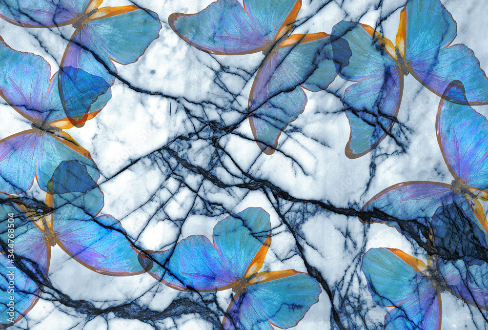 Blue marble texture and blue morpho butterflies. abstract natural ...