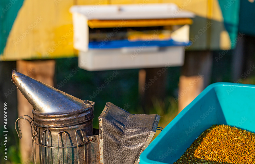 Collector of pollen on a hive. Bees with collected pollen enter the ...