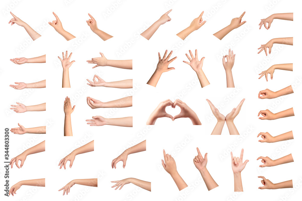 Collection of woman hand gestures isolated on white background. Stock ...