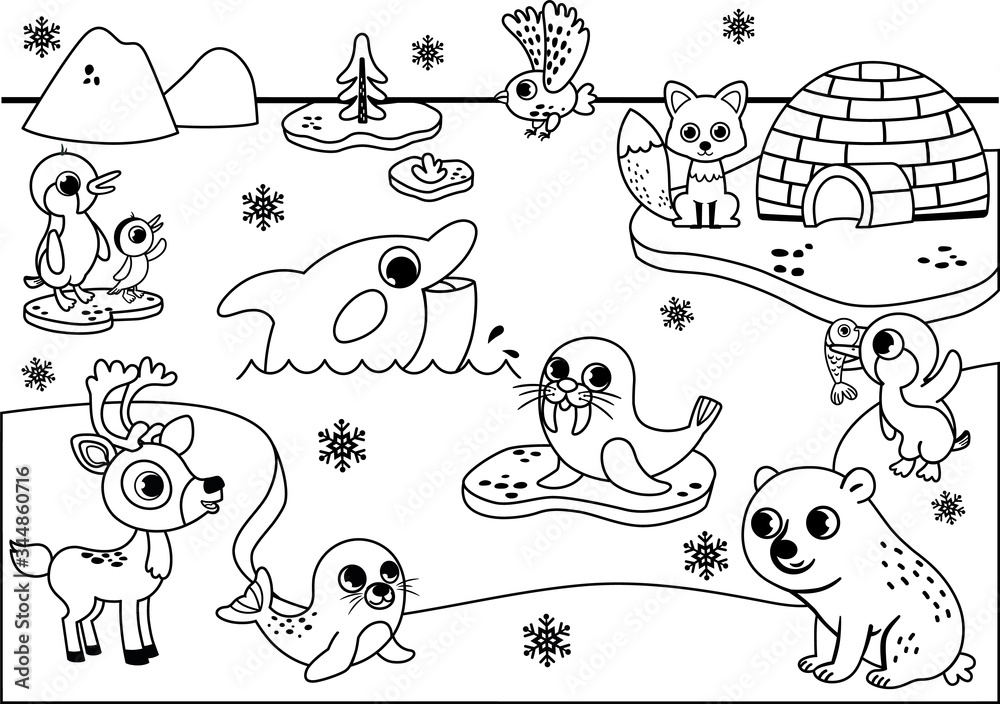 Black and white vector set with arctic animals for kids. Set includes ...