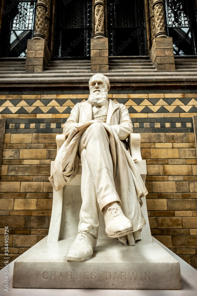 London- Charles Darwin statue inside the National History Museum ...